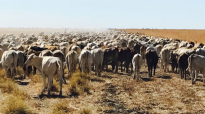 Property Sales Results - Grain Central