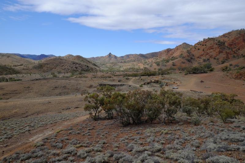 Upcoming Properties For Sale - Sheep Central