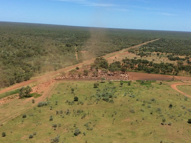 Property Sales Results - Grain Central