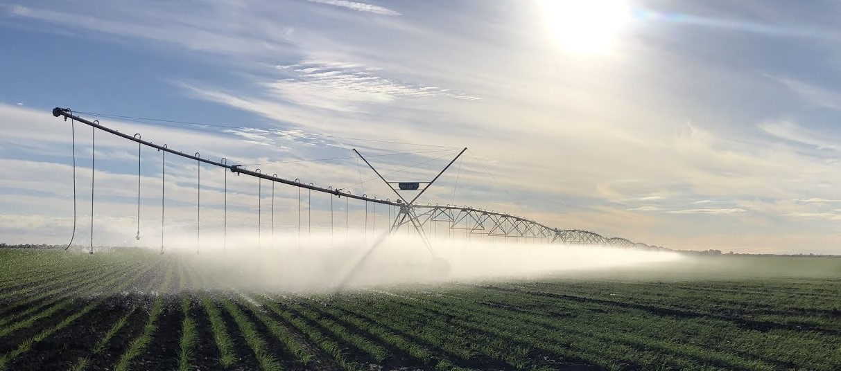 Properties For Sale - Grain Central